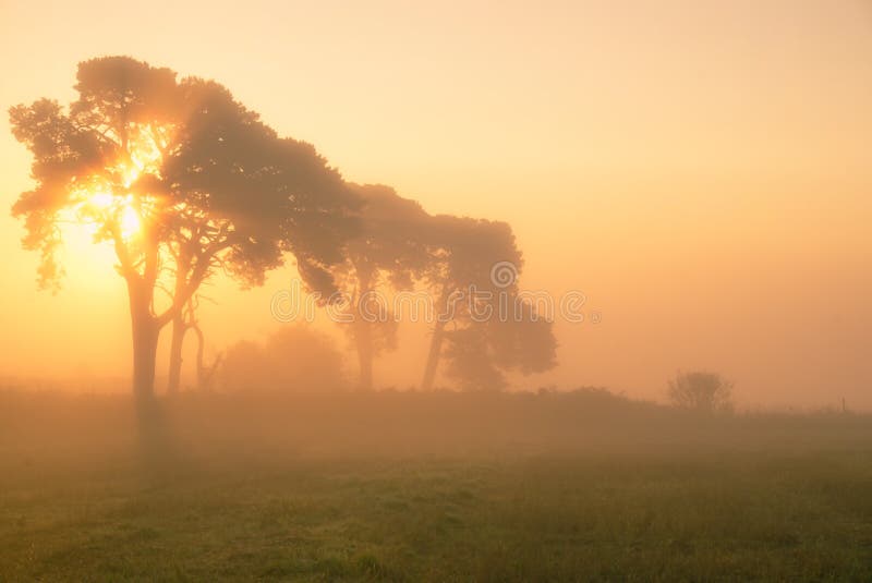 Red dawn stock photo. Image of autumnal, dawn, norfolk - 99122440