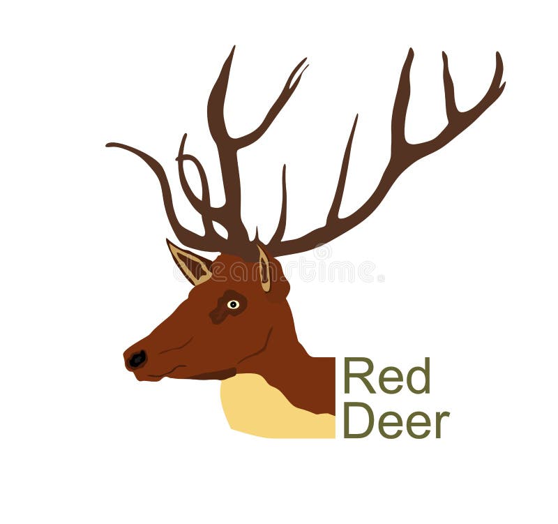 Deer Head Collection Vector Silhouette Illustration Isolated on White ...