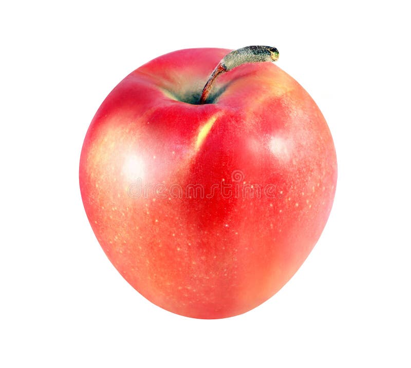 Red delicious apple stock image. Image of fruit, ripe - 52394411
