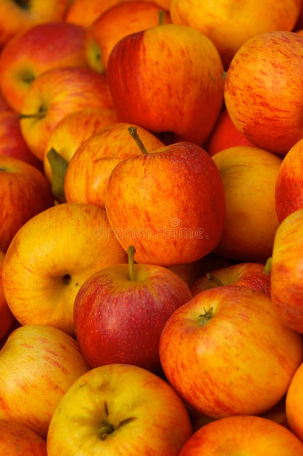 Red delicious apples stock image. Image of full, health - 11306611