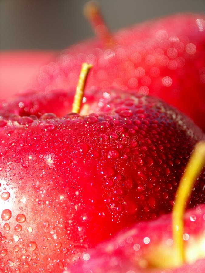 Red delicious apples stock photo. Image of basket, nutrition - 11902620