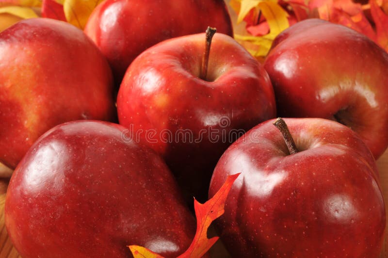 Red delicious apples stock image. Image of horizontal - 36206301