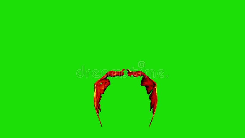 Demon Devil Wings Fast Green Screen 3D Renderings Animations Stock ...