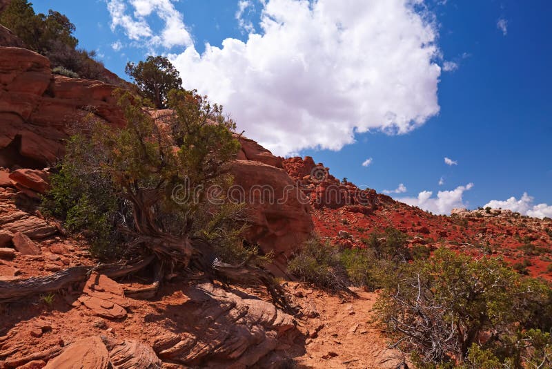 Red Desert stock photo. Image of arches, desert, hiking - 11603512