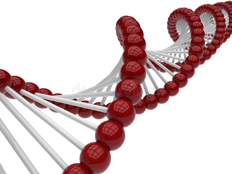 Red detailed DNA strand stock illustration. Illustration of ...
