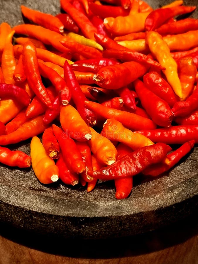 Red devil hot chili stock image. Image of gourd, dish - 217665277