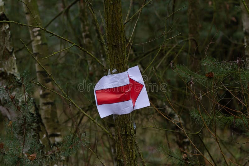 Red Direction Arrow on the Narrow Tree Showing Direction Stock Photo ...