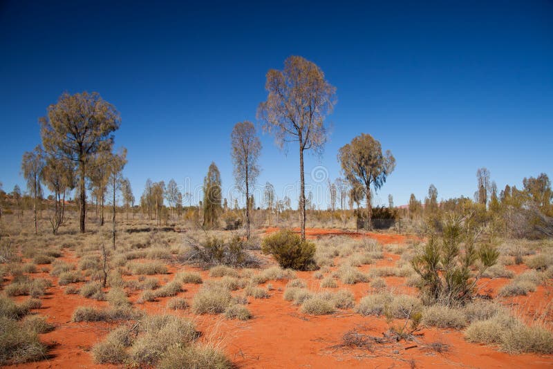 Red Dirt Blue Sky Desert Outback Australia Stock Photo - Image of bush ...