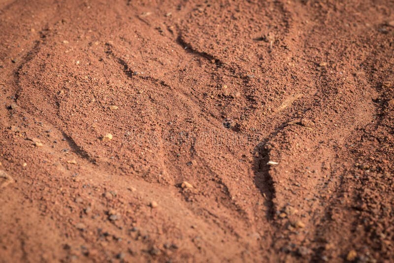 16,743 Red Soil Texture Stock Photos - Free & Royalty-Free Stock Photos ...