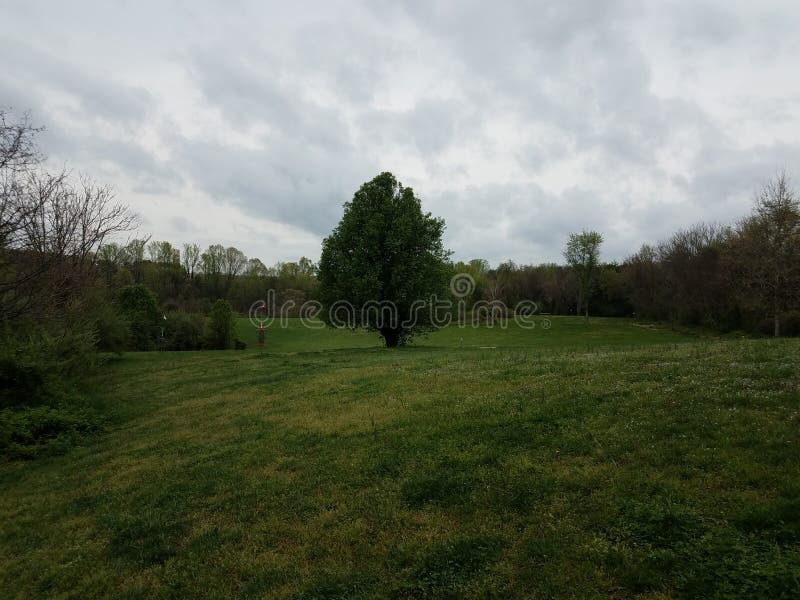 Red Disc Golf Chain Basket or Hole with Green Grass Stock Image - Image ...