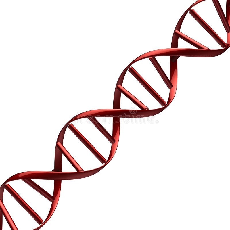 Dna stock vector. Illustration of biotech, healthy, deoxyribonucleic ...