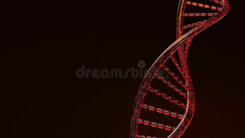 Red Dna 3d Rendering on Black Background for Science Content Stock ...