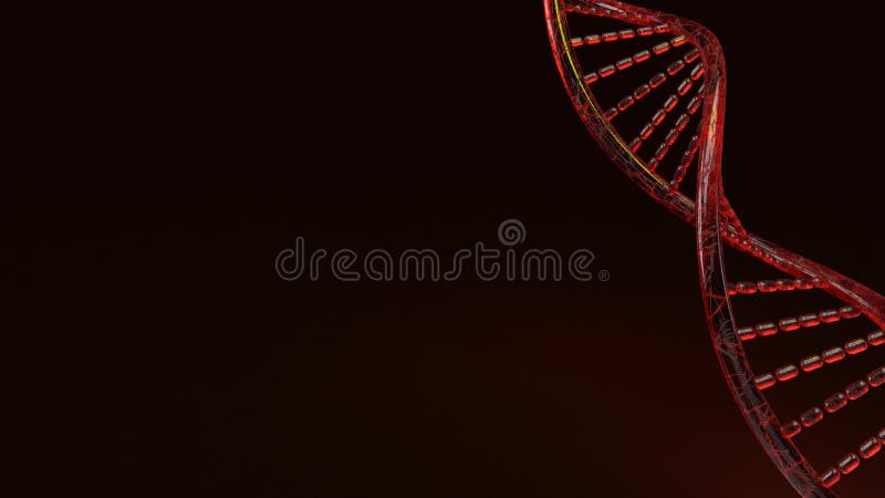 Red Dna 3d Rendering on Black Background for Science Content Stock ...