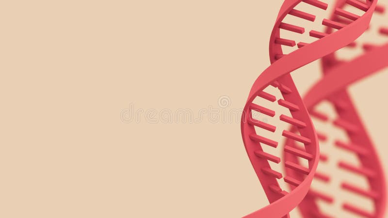 Red DNA Double Helix Strand Rotates on Beige Background Loop Animation ...