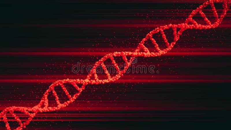 Red DNA Molecule Model, 3D Rendering Stock Illustration - Illustration ...
