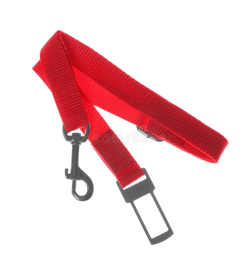 Red Dog Leash Isolated on White. Pet Accessory Stock Photo - Image of ...
