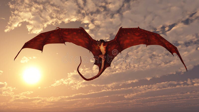 Red Dragon Attacking from a Sunset Sky Stock Illustration ...