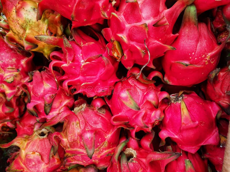 Friuts stock photo. Image of vegetable, friuts, produce - 80735104