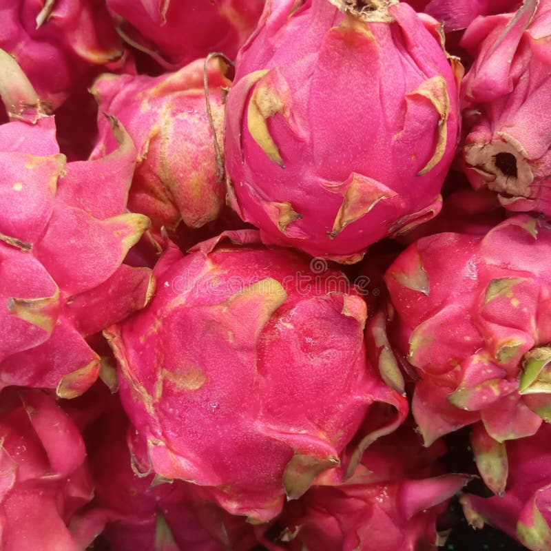 Red dragon fruit session stock image. Image of vegetable - 270025937