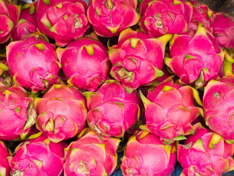 Red dragon fruits stock photo. Image of groceries, leaf - 26267248