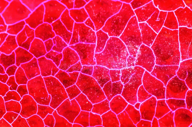 Red Dragon Vein Agate Pattern Stock Image - Image of hardstone ...