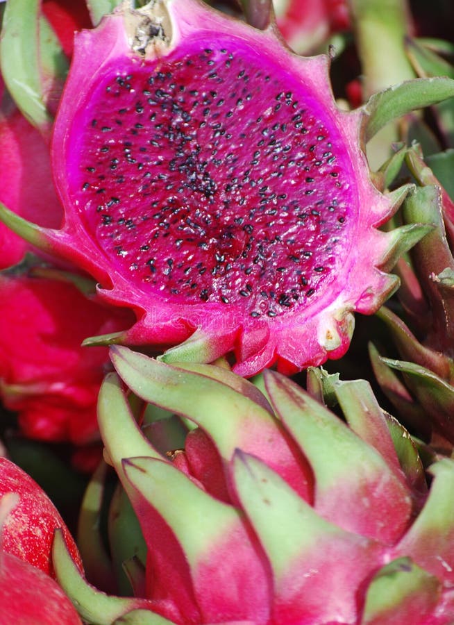 Red dragonfruit stock photo. Image of meal, freshness - 6618476