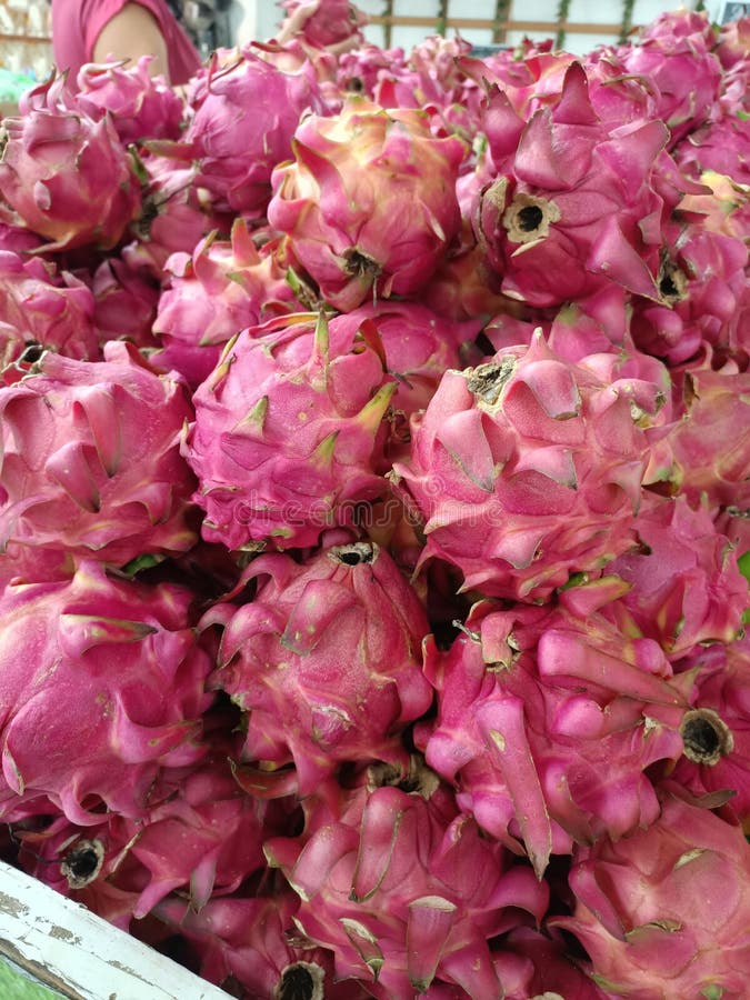 Red Dragonfruit are always Looks so Exotic ! Stock Photo - Image of ...