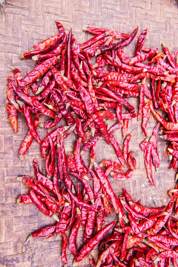 Red Dried Chilli on Threshing Basket Stock Photo - Image of cooking ...