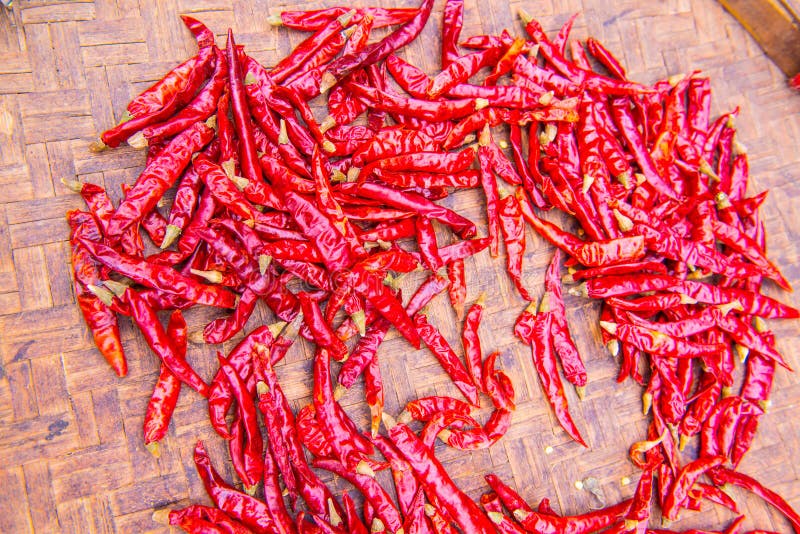 Red Dried Chilli on Threshing Basket Stock Image - Image of pepperoni ...