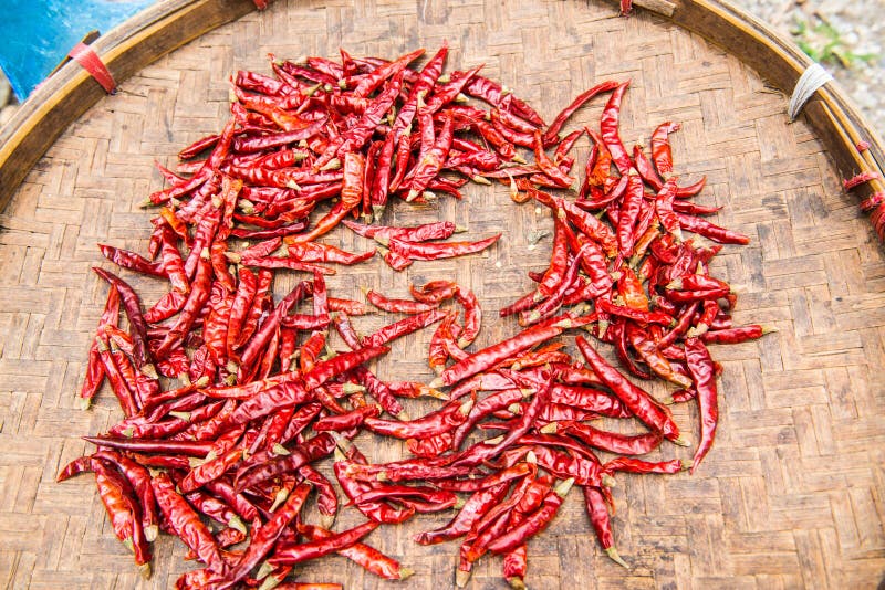 Red Dried Chilli on Threshing Basket Stock Photo - Image of asian ...
