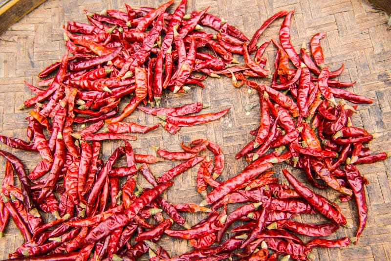 Red Dried Chilli on Threshing Basket Stock Photo - Image of spice ...