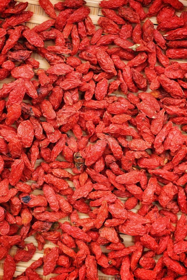 Dried Goji berry stock photo. Image of dried, vitamin - 29302178