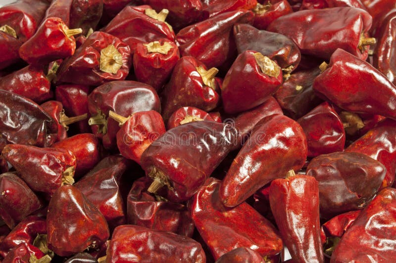 Red Dried Whole Chillies stock image. Image of curry - 23920633