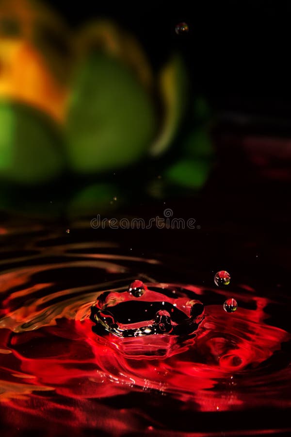 Red drop stock image. Image of nature, macro, bright - 101189727