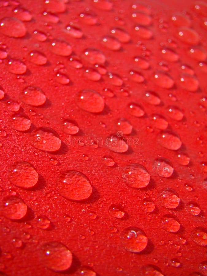 Rain drops and rainbow stock photo. Image of rain, drops - 12565386