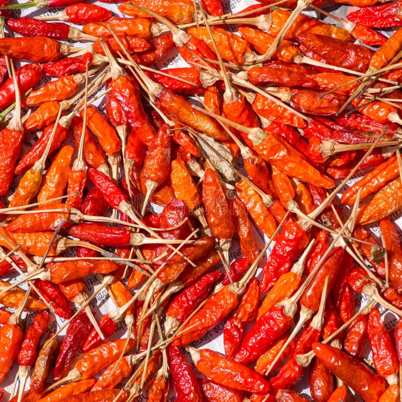 Red chili pepper stock photo. Image of chili, fresh, chillie - 11035336