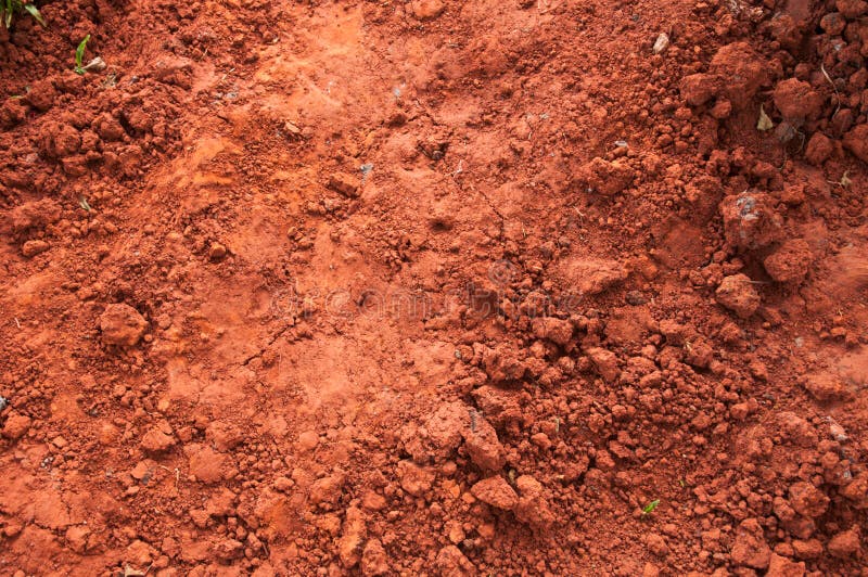 Red dry grungy clay stock photo. Image of pebble, ground - 27545972