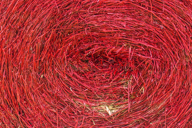 Red Dry Straw, Dry Straw Rolls, Straw Background Texture. Stock Image ...