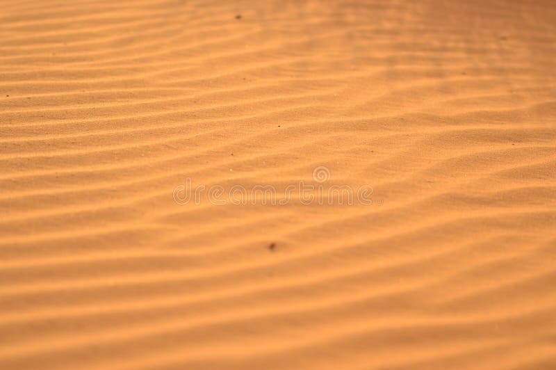 Red dune sand layerd stock photo. Image of landscape - 228980442