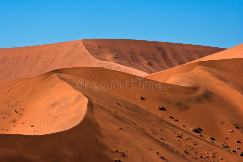 Desert shapes stock image. Image of africa, shapes, sand - 16438401