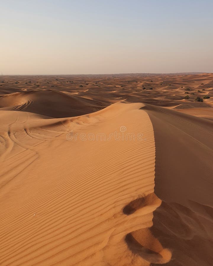 Red Dunes Dubai stock photo. Image of plateau, field - 265413236