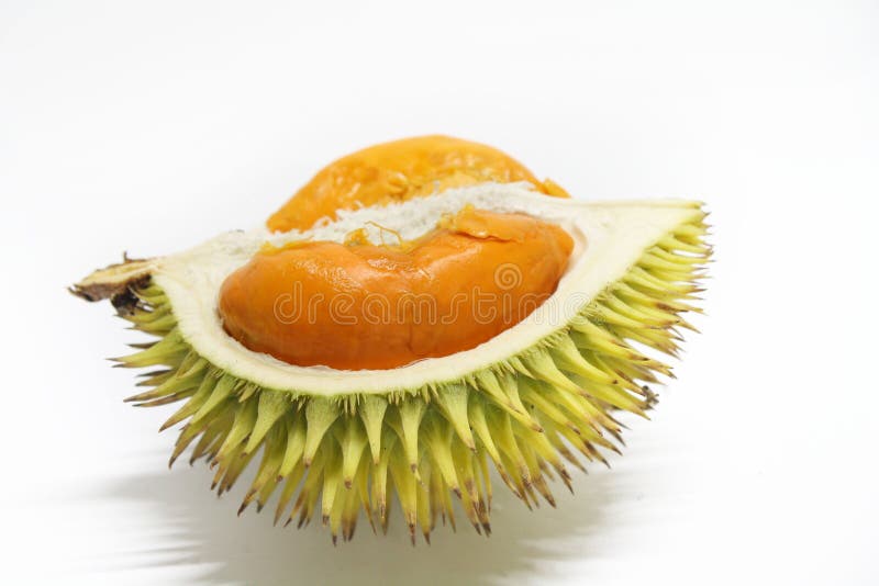 Red durian stock image. Image of hard, agriculture, thorns - 43499261