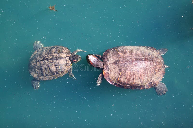 Name Male Water Face Stock Photos - Free & Royalty-Free Stock Photos ...