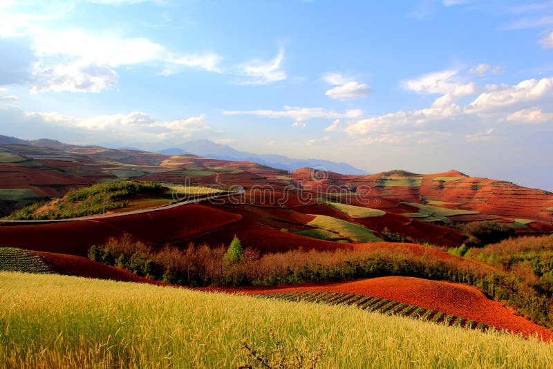 Red earth stock image. Image of grain, wonder, vegetation - 25148265