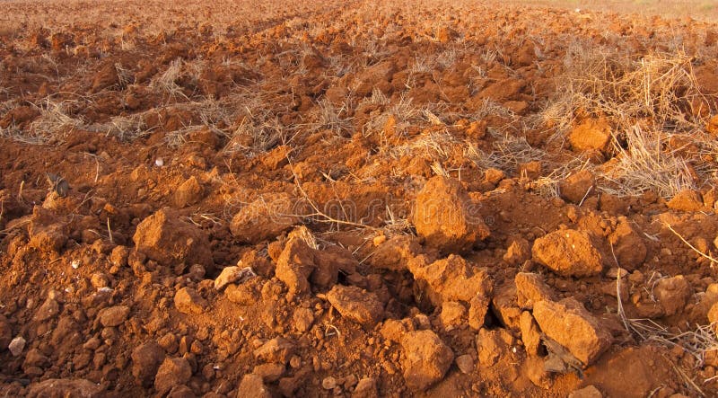 Fertile soil stock image. Image of ecology, stubble, heatwave - 4351641