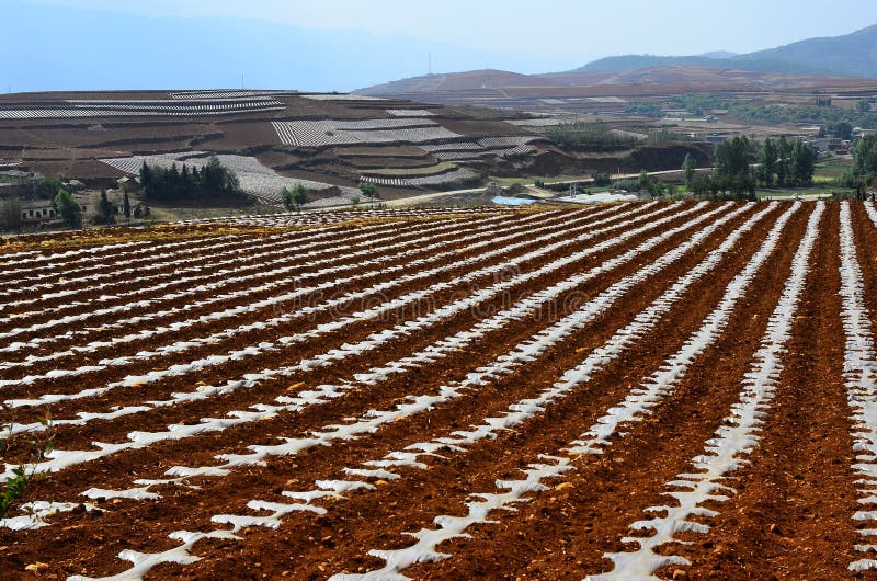 The red earth stock photo. Image of field, yunnan, china - 31642244