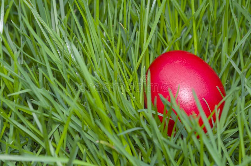 Red Easter Egg in the Grass Closeup Stock Image - Image of green, celebration: 68161969