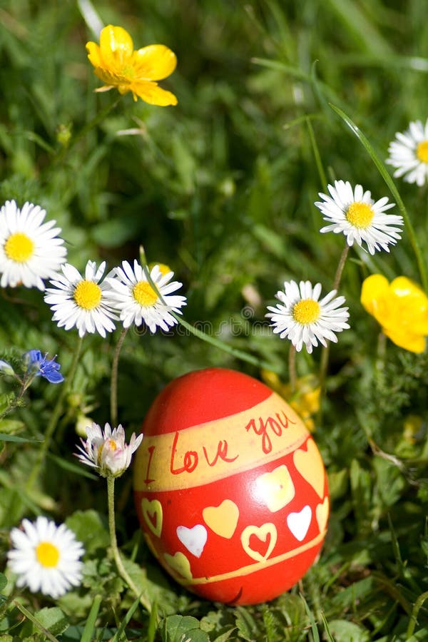 Red Easter Egg Lying in Springflower Covered Meadow Stock Photo - Image ...