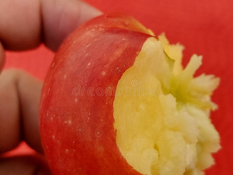 Red eaten apple closeup stock photo. Image of healthy - 236056746