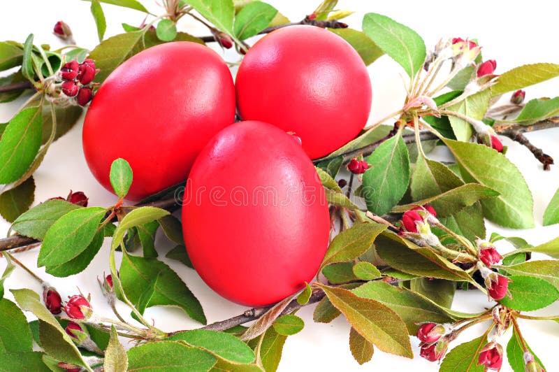 Red Eggs, Spring Twig with Leaves and Flowers; Easter Concept Stock ...